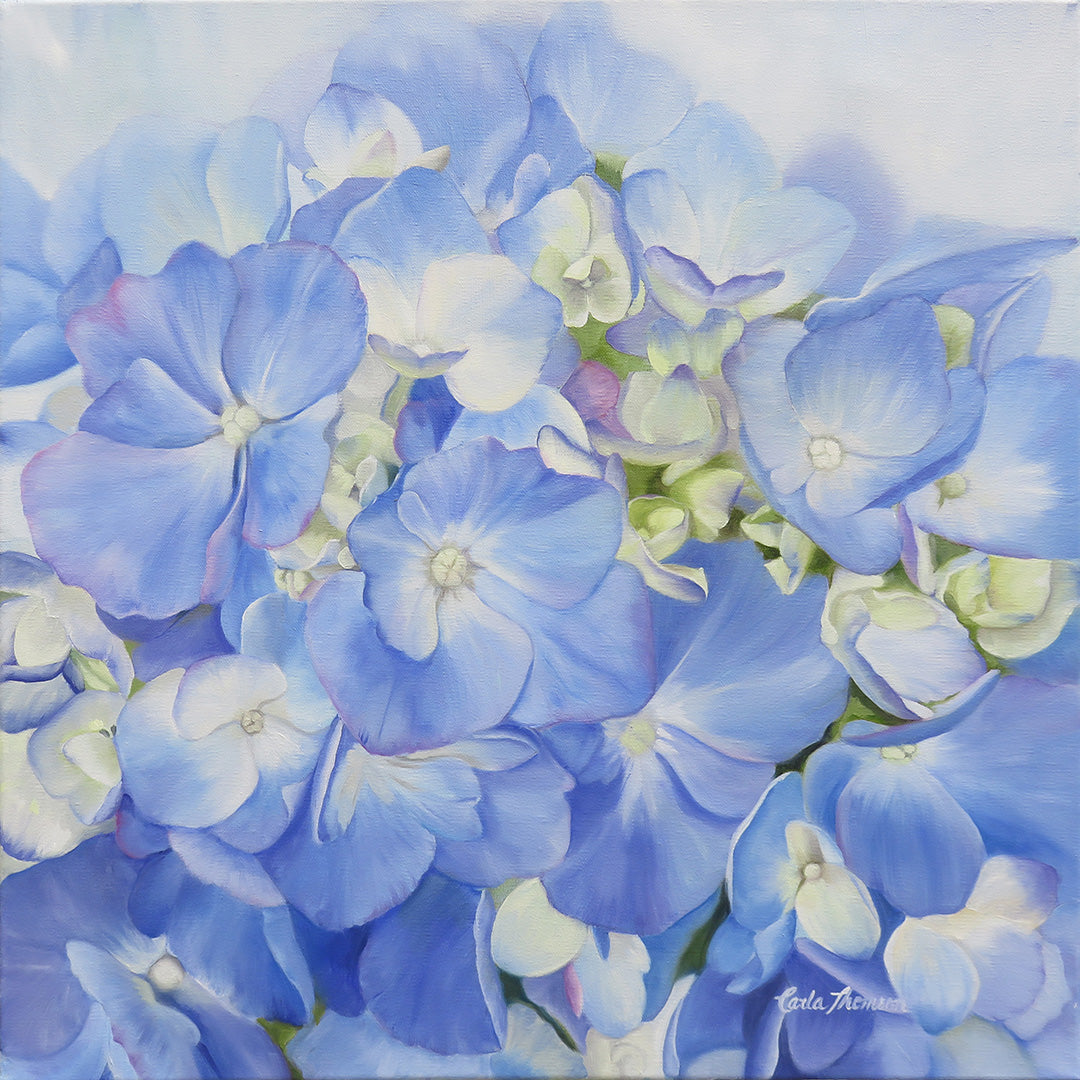 Carla Thomson Art – CarlaThomsonArt